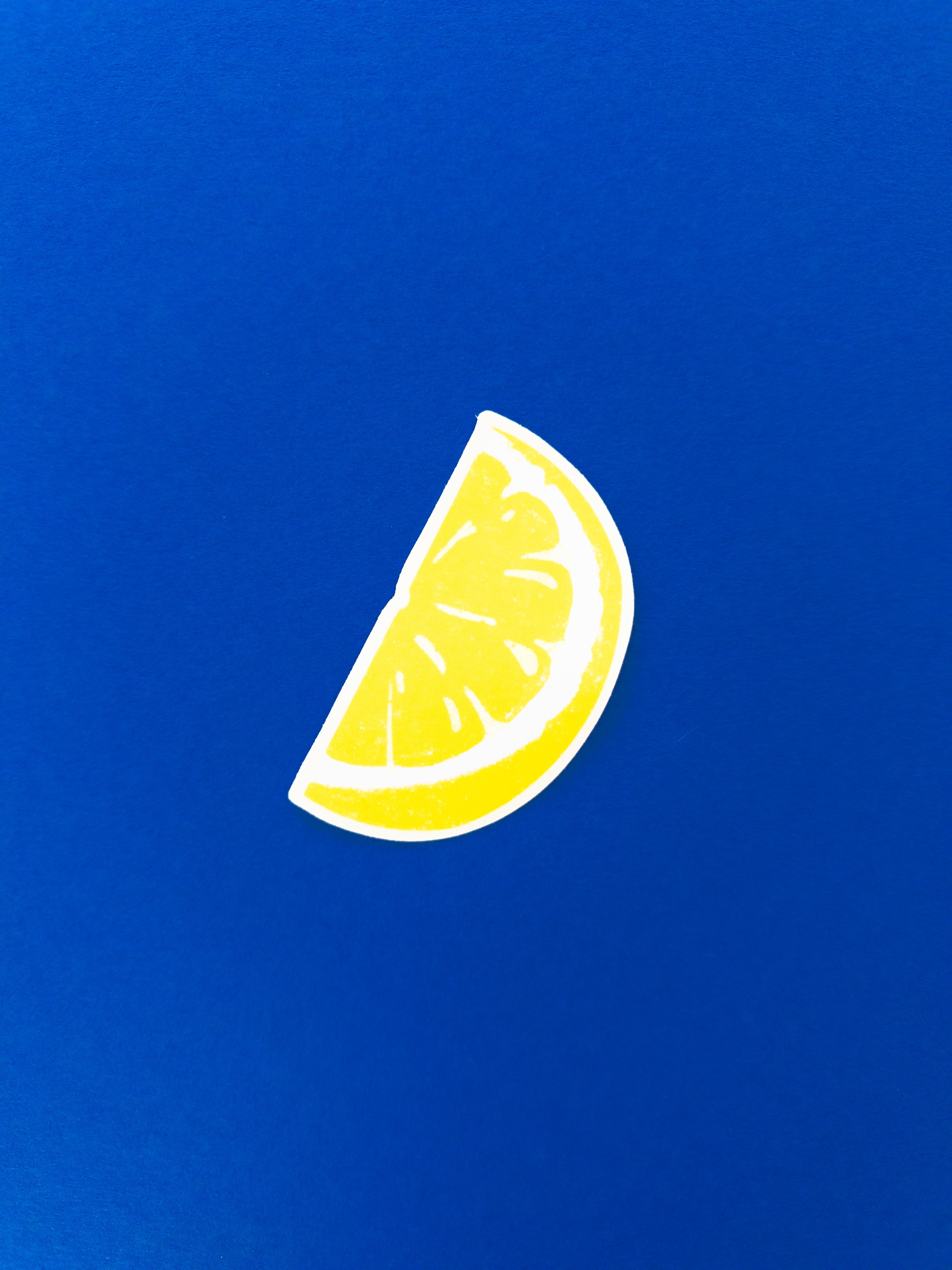Lemon Slice Sticker – Mel Andrel